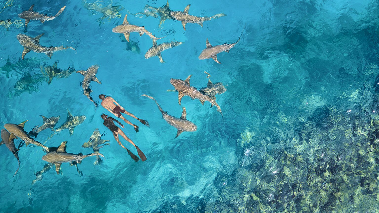 Having a Veli Good Time In Paradise - TravelTalk