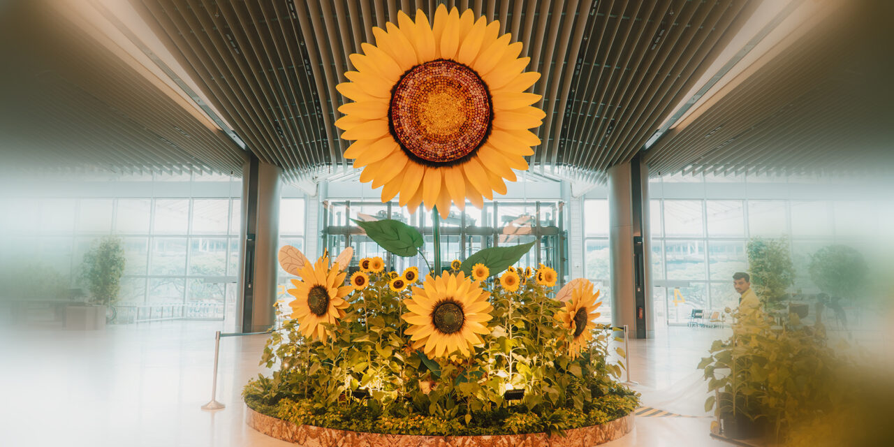 Changi launches world's largest airport sunflower display - TravelTalk