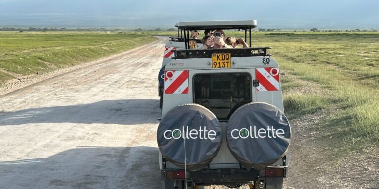 Discover Collette’s New 2026 Explorations Season – On Sale Now - TravelTalk