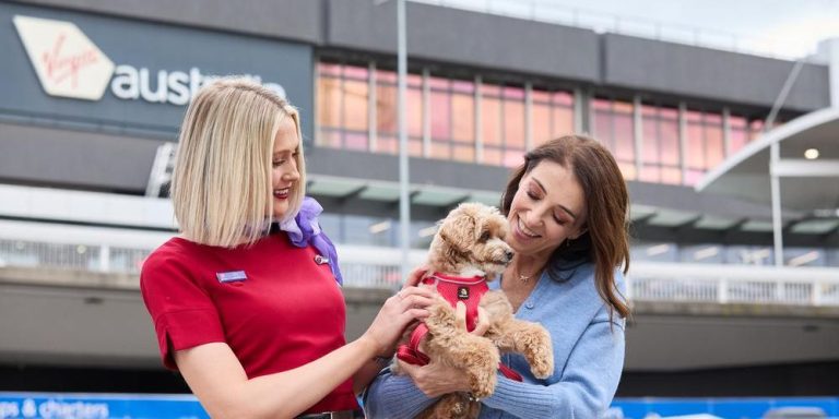 Airline Extends Pets On Planes Project - TravelTalk