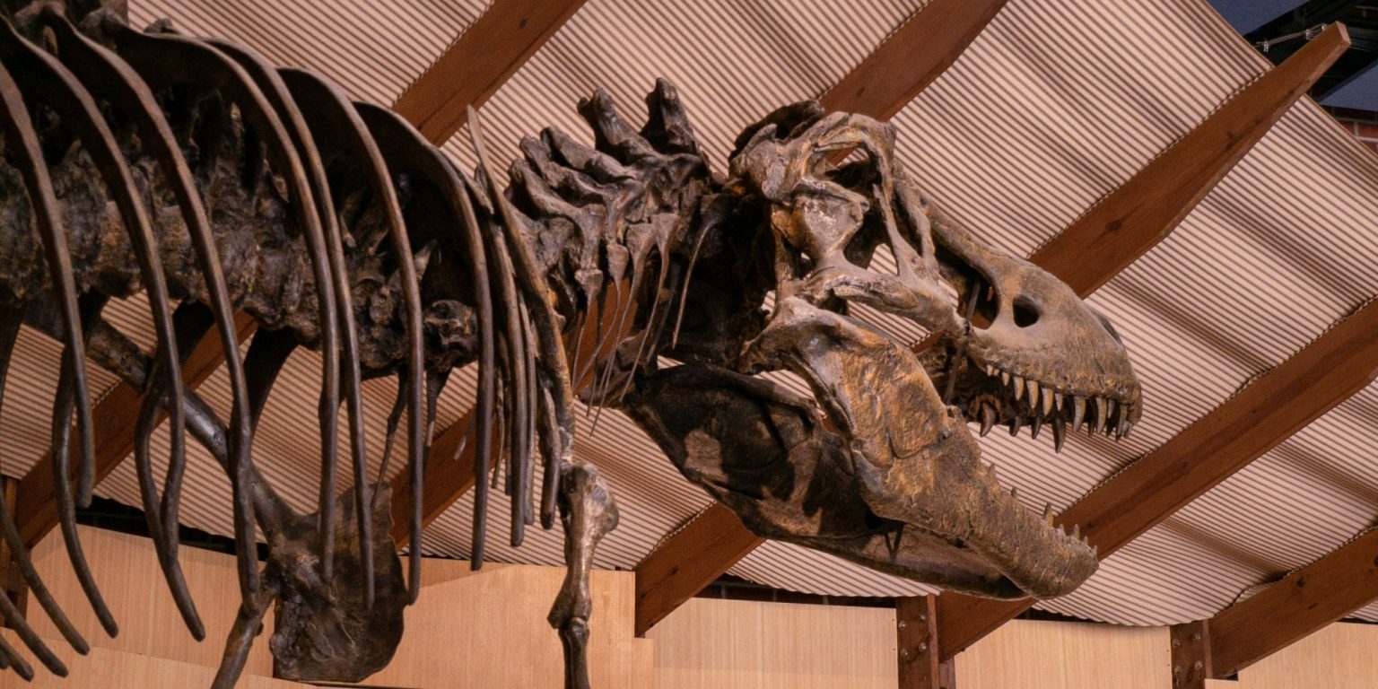 Queensland Launches First Ever Dinosaur Week - TravelTalk