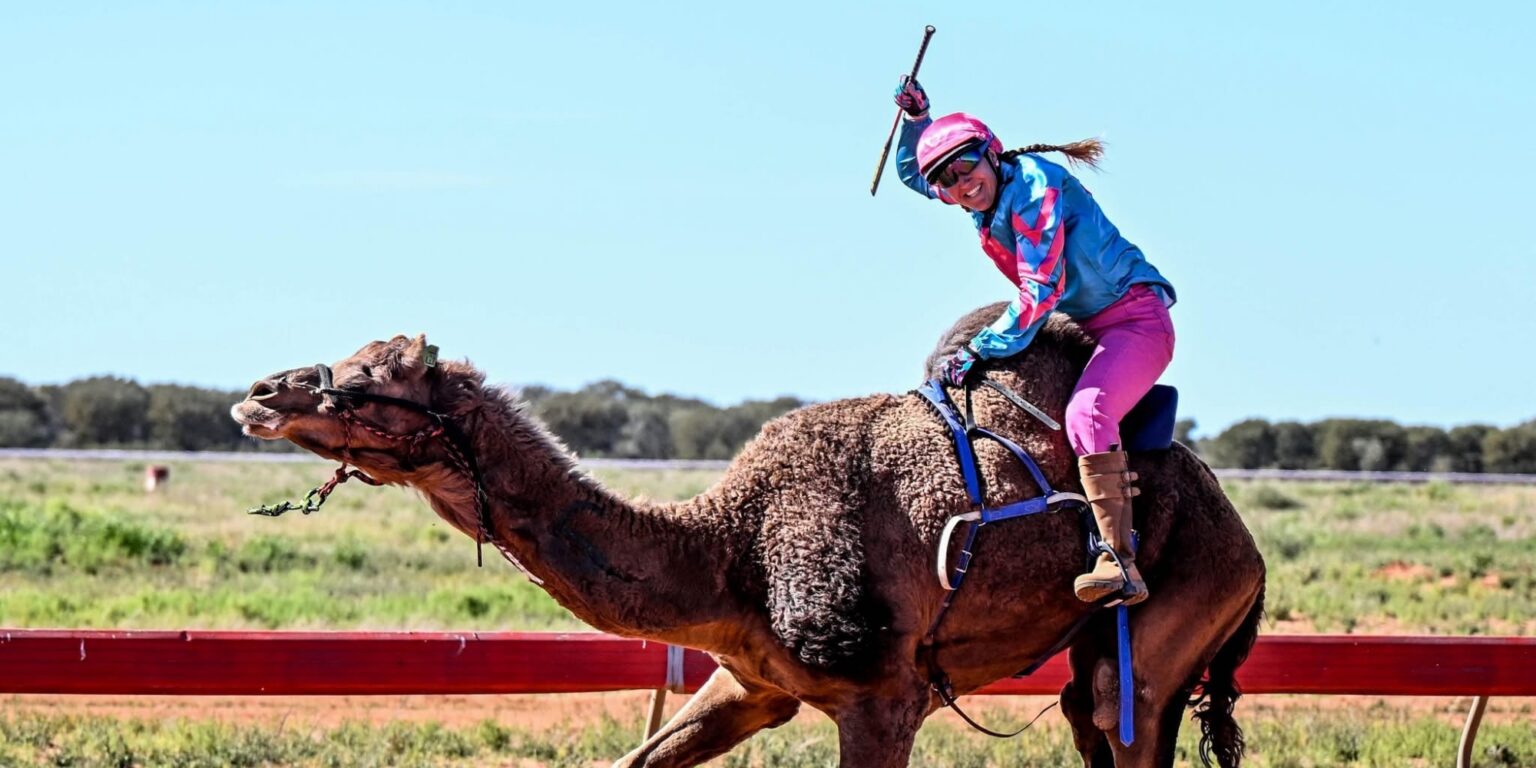 The Outback Is Open And The Camels Are Racing - TravelTalk